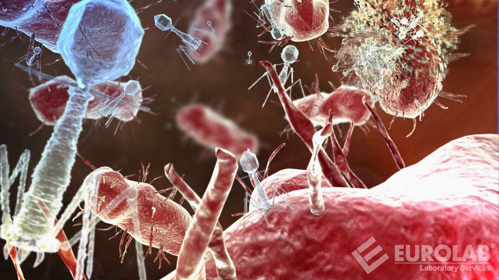 ASTM E2197-17化学物質の殺菌、殺ウイルス、殺菌、マイコバクテリア、および殺胞子活性を測定するための標準的な定量的ディスクキャリア試験方法