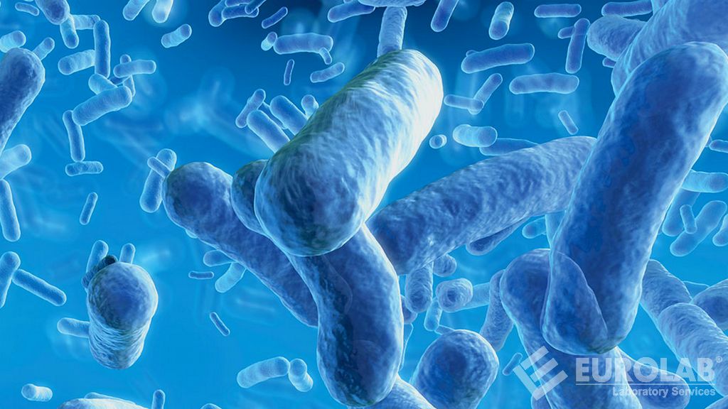 ASTM E2783-11 Standard Test Method for Evaluating Antimicrobial ...