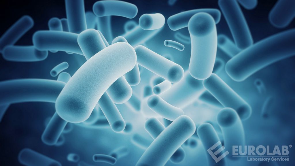 Rechercher Enterobacter Sakazakii (Cronobacter spp.)