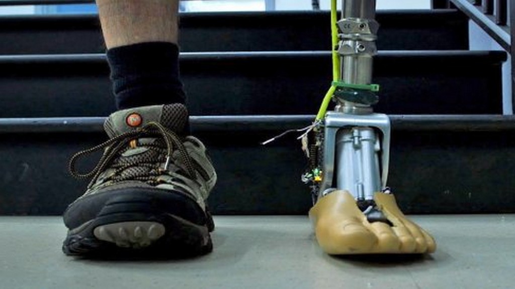 ISO 22675 Prosthetics - Testing of Ankle-Foot Devices and Foot Units ...