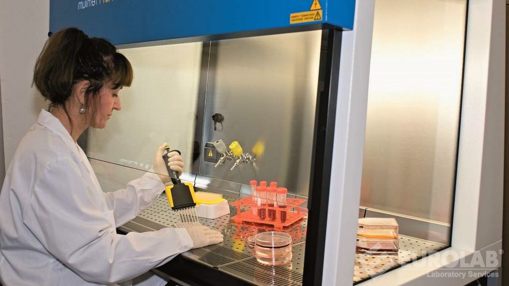 Microbiological Tests - Rope Spore Count