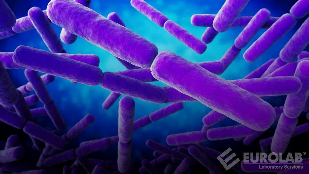 Pruebas microbiológicas: detección de enterotoxina estafilocócica