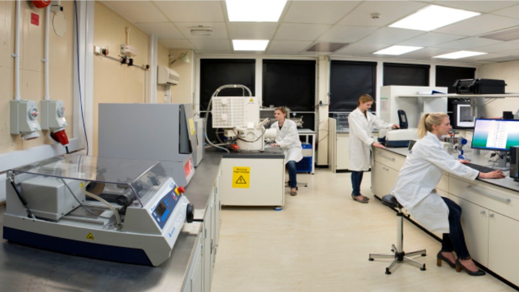 PI-55 Diz Kondil Yorgunluk Testi