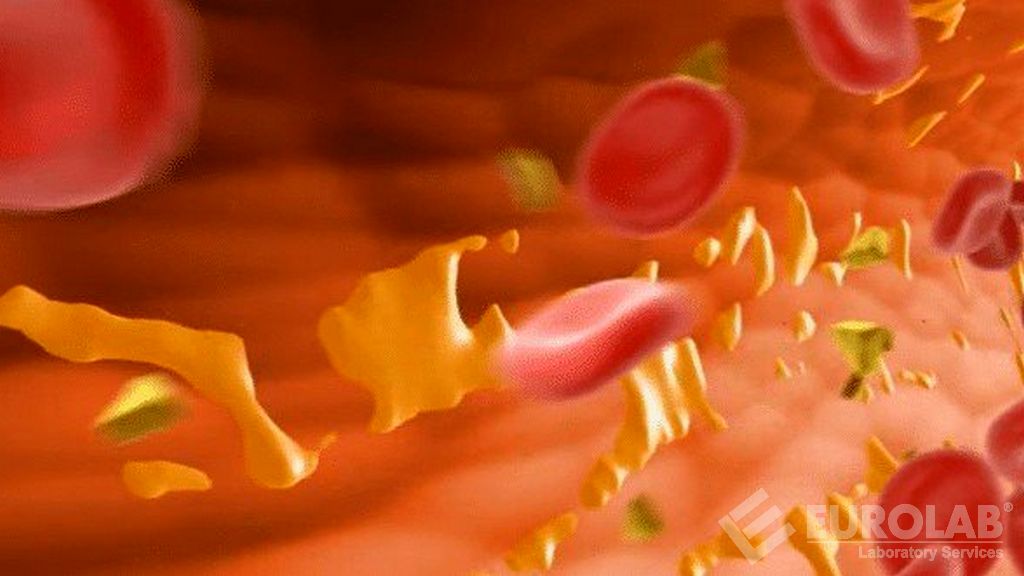 Determination of Triglyceride Composition